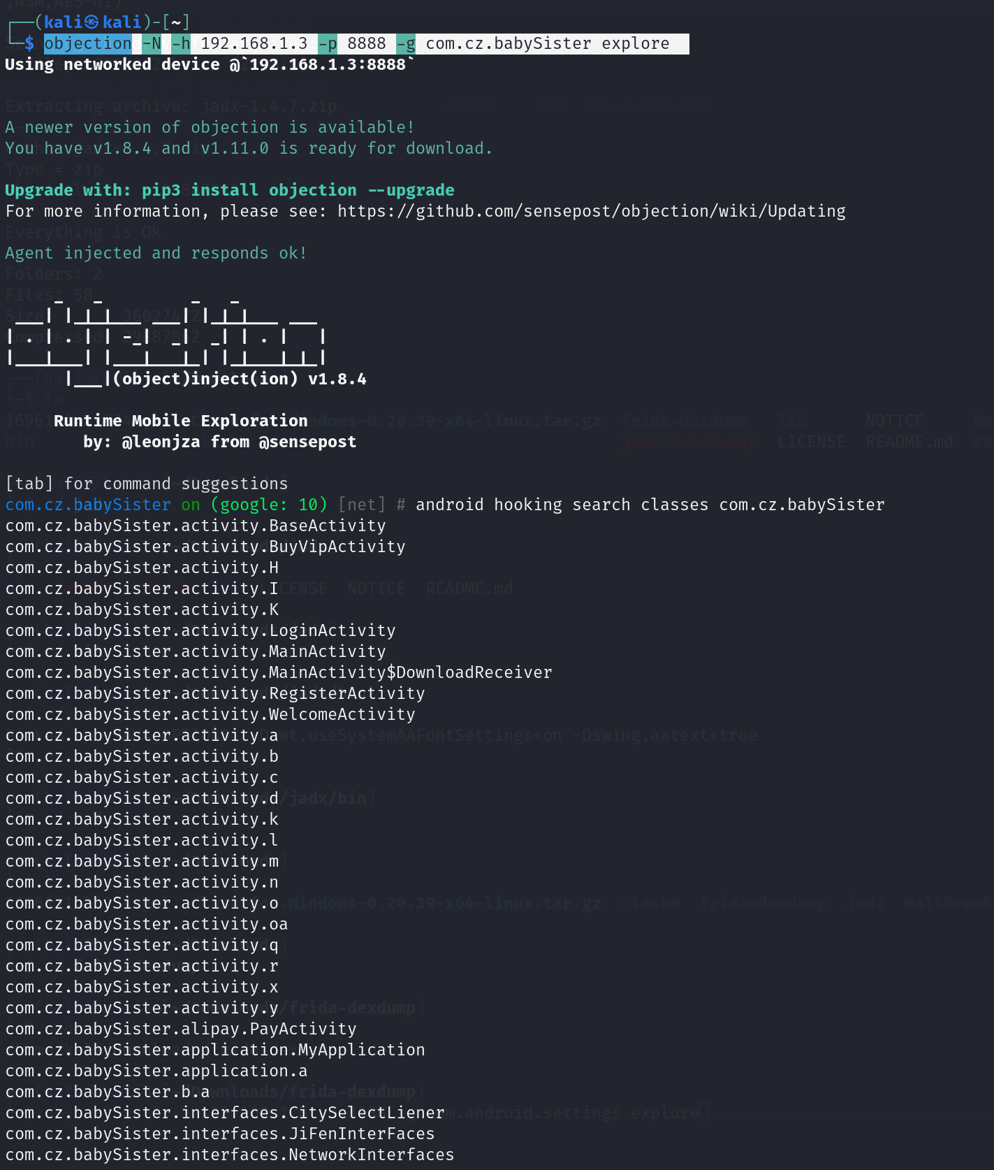 Objection环境、自动化分析和插件 | xiaoeryu